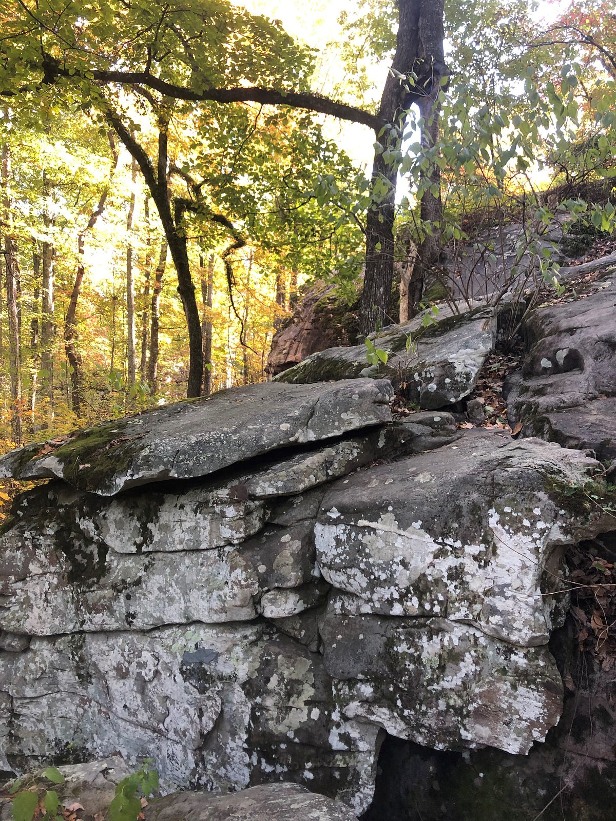 Devotional — 5 April 2020. Create in me a pure heart, O God, and… | by ...