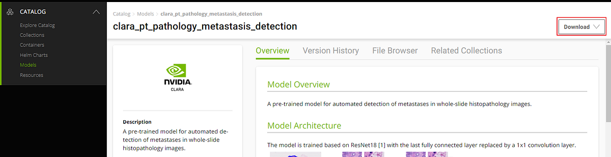 [AI] [Nvidia Clara 4] NVIDIA Clara-Train-SDK 4.0 進行 2D 圖像 AI 模型訓練 (1 ...