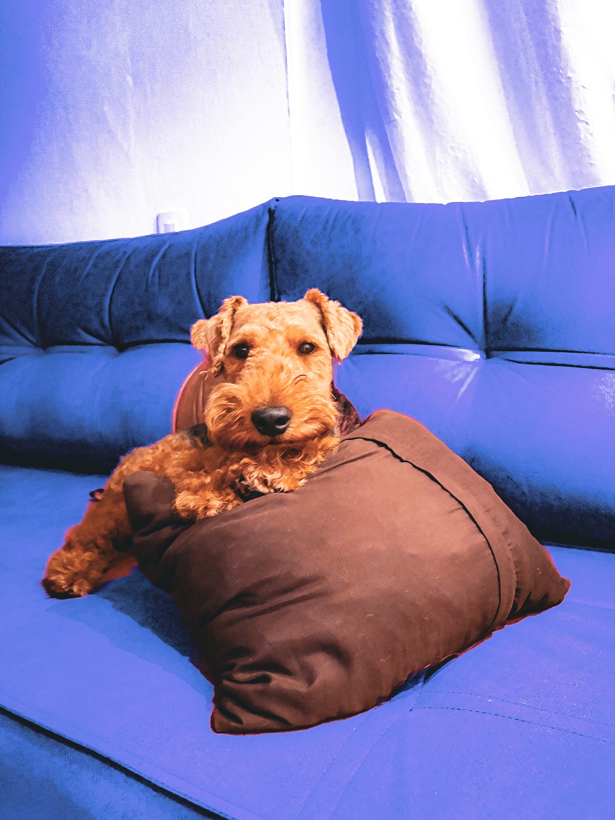 Violence The Discrete Human Language of Awe | by Love Captain | Jan ...