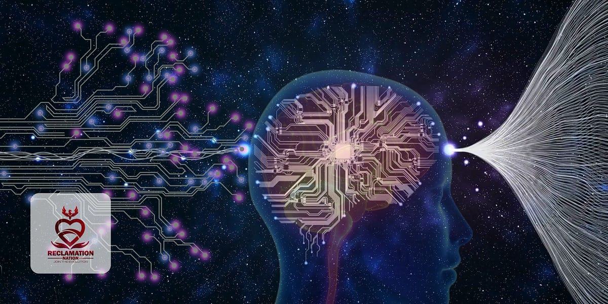 Trauma + Stress + Insomnia = Your Brain in Guardian Mode | by ...