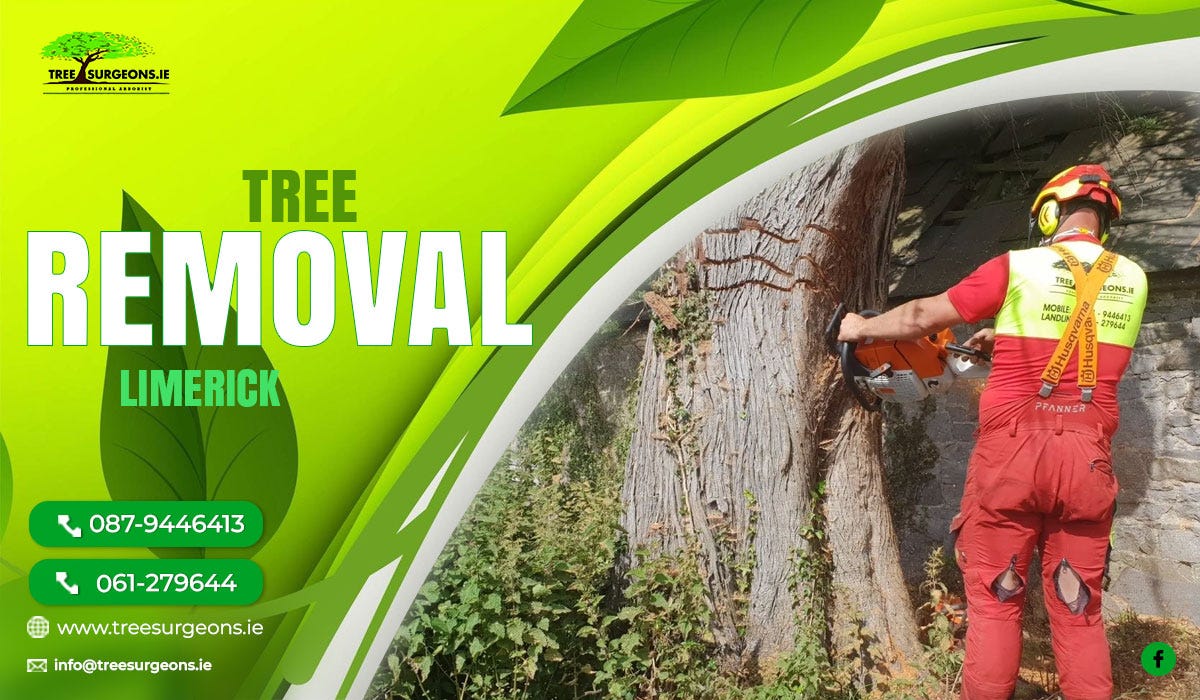 Everything to know about professional tree removal service: A brief ...
