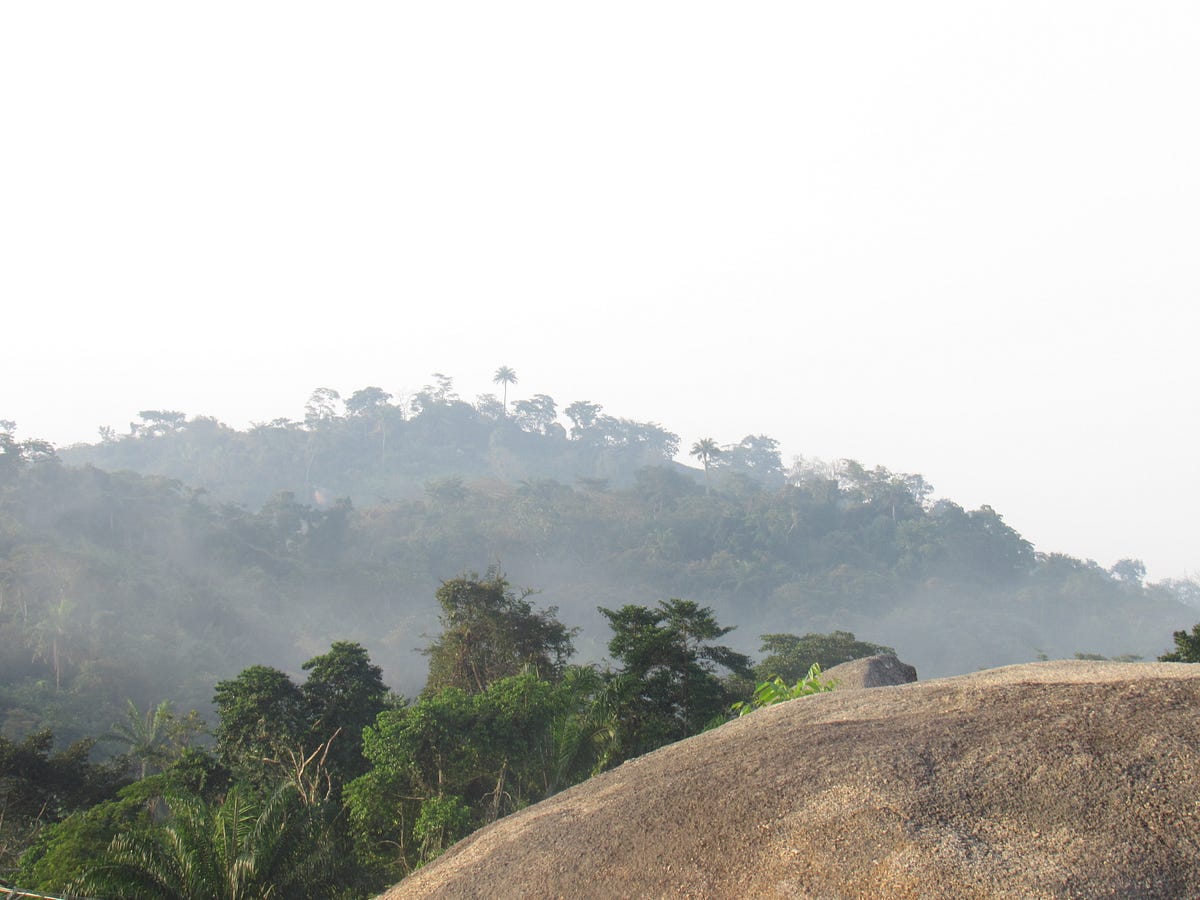 Medical Mission Tour to Imesi-ile | by Richard Saseun | Medium