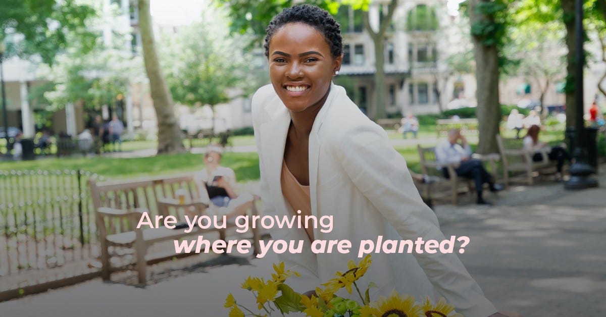 Growing where you are planted — pathway to purpose | by Yu Grow | Medium