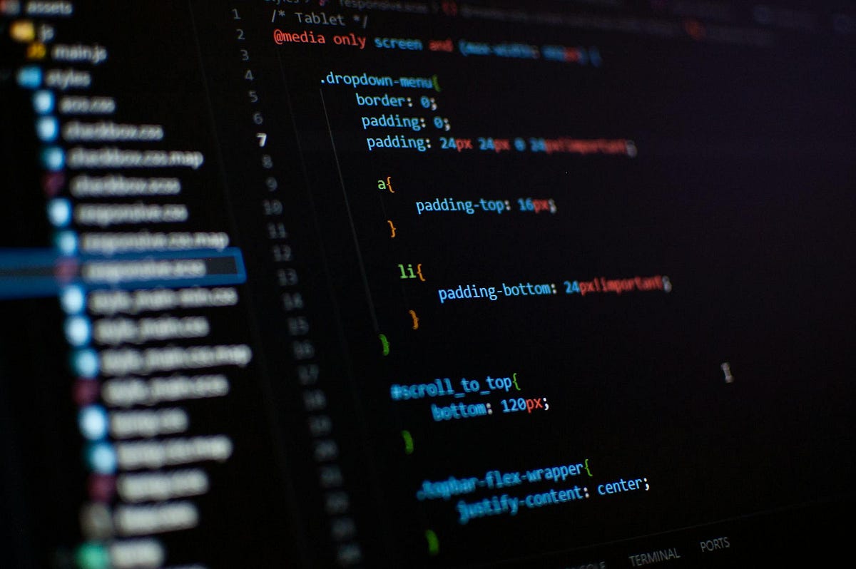 Top 5 Programming Languages You should learn in 2024 | by Scripted ...
