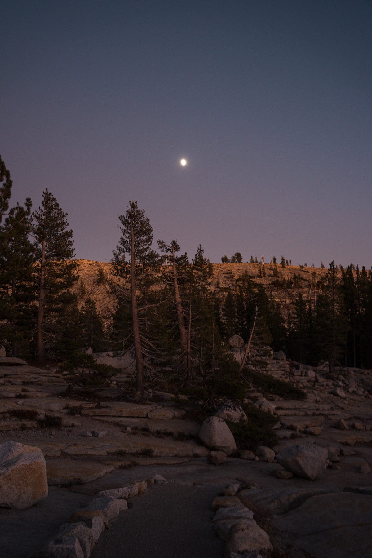 Cary Stayner: The Yosemite Park Killer | by Adonis Jaehde | Medium