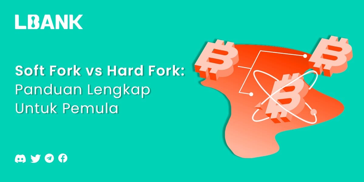 Soft Fork vs Hard Fork: Panduan Lengkap Untuk Pemula | by LBank Indonesia | LBank Indonesia | Medium