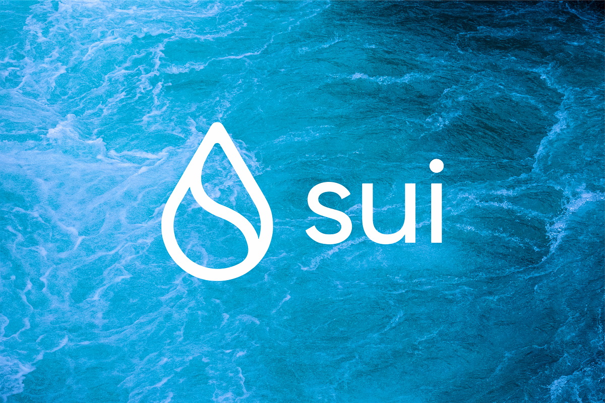 What is Sui?. Because of the popularization of… | by Muzic | Medium