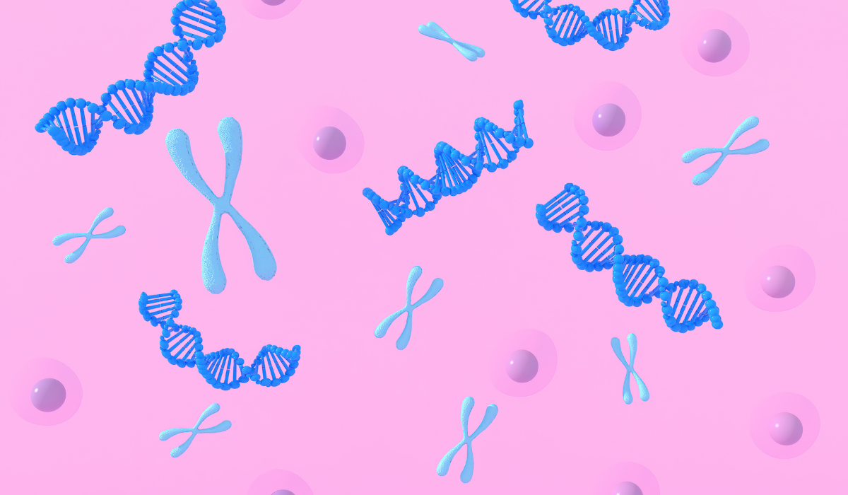 No, Biology Doesn’t Say What You Think It Does | by Dayna A. Ellis ...