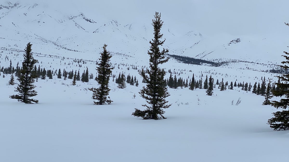 Chat with Deb—Alaska Through the Mist | by Jack Herlocker | Medium