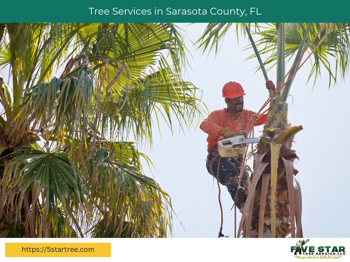 Tree Service | Five Star Tree Service LLC | Bradenton, FL | by Five ...
