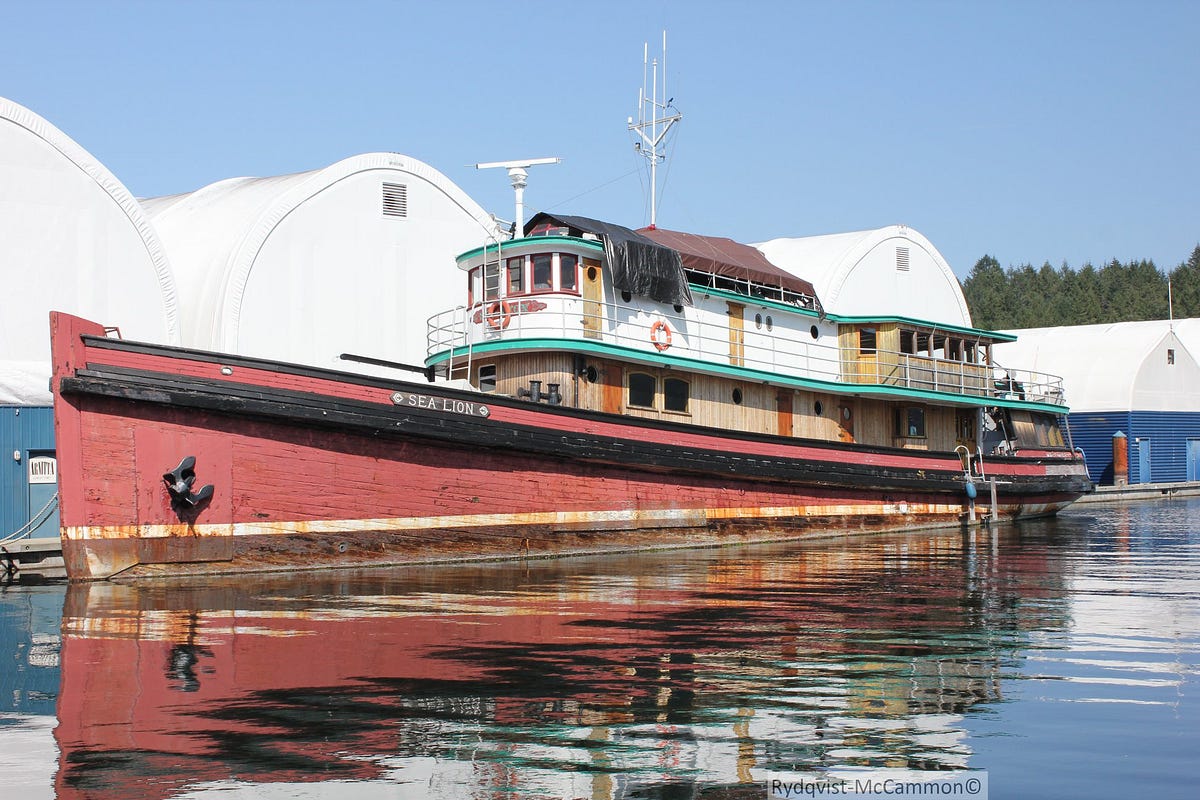 Ernie & The Sea Lion. The Sea Lion VI is considered by… | by Sam ...