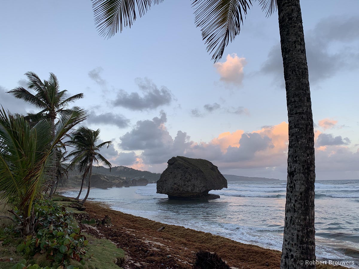 How to Add a Copyright or Watermark to Photos Using Python | by Robbert ...