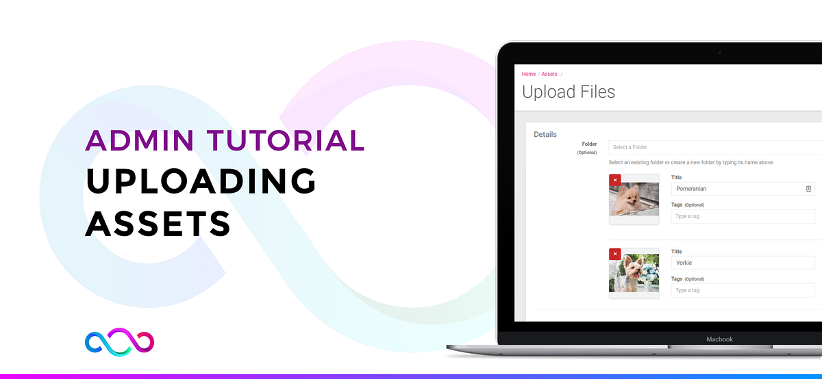 Admin Video Tutorial — How to Upload Assets | by Duncan Thomson | HailTo | Medium