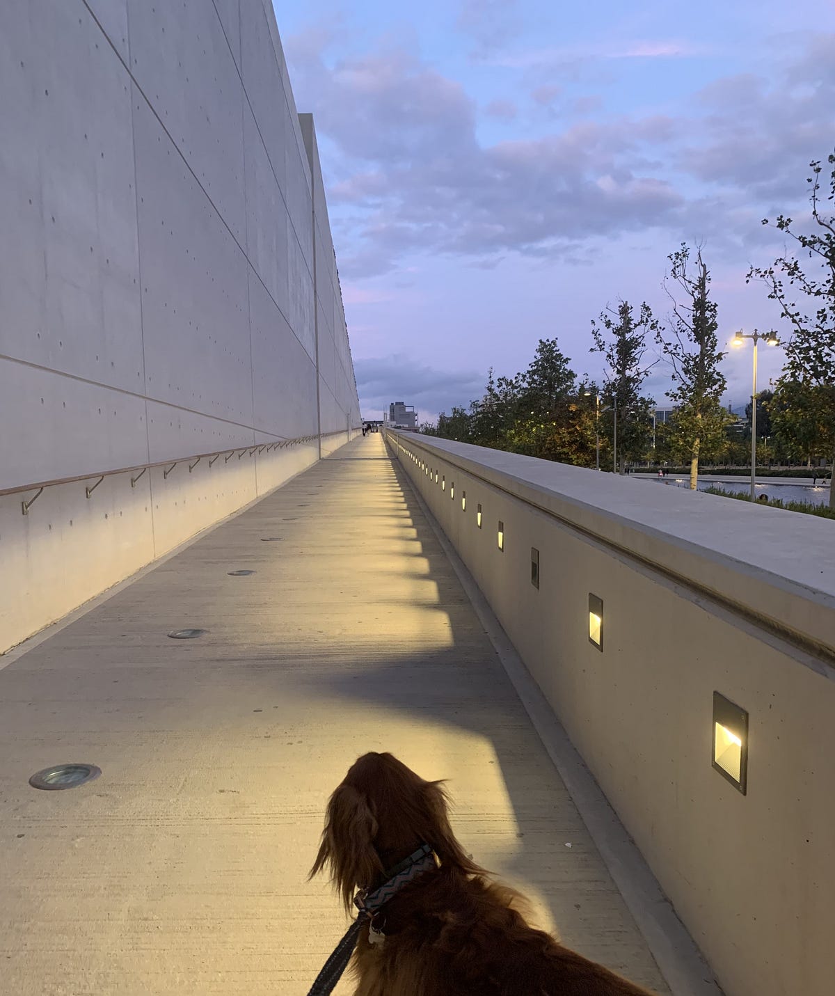 Our Favorite Walking Place!. Me and my buddy at Stavros Niarchos… | by ...