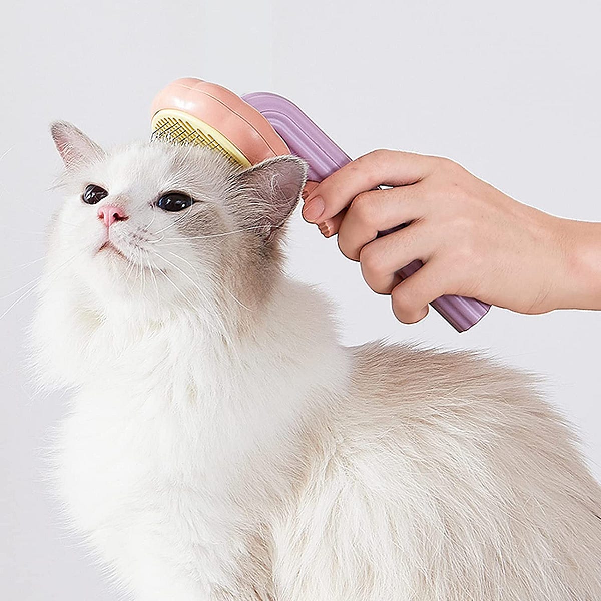 Cat & Dog Grooming Brush. Pet Pin Brushes for Long and Short Hair… | by ...