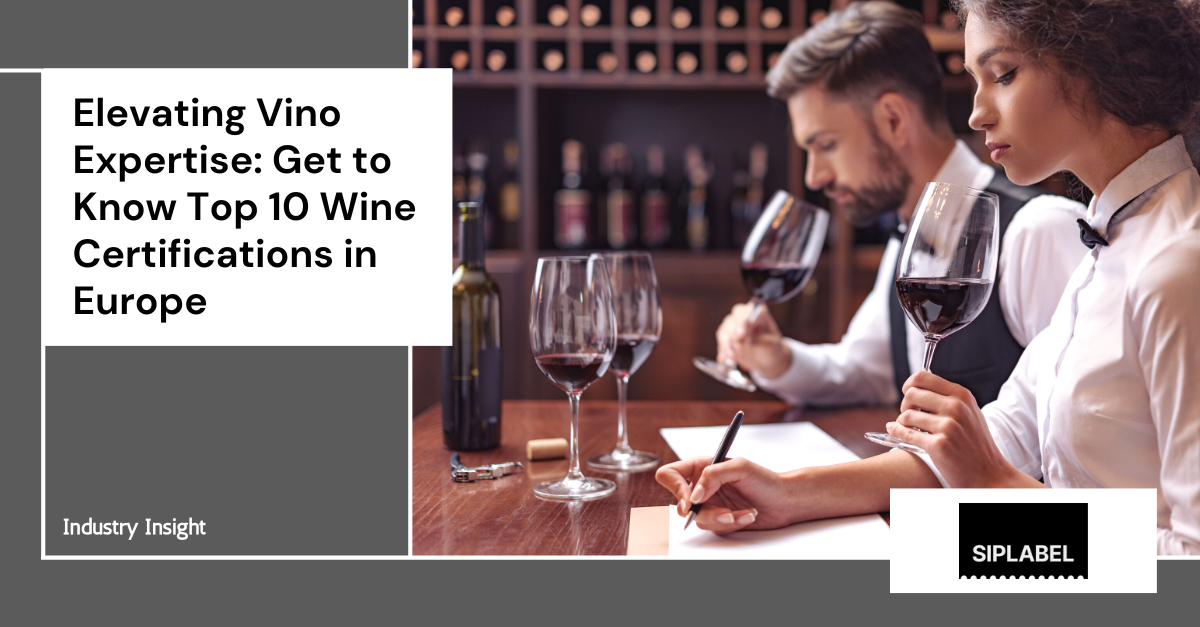 Elevating Vino Expertise: Get to Know Top 10 Wine Certifications in ...