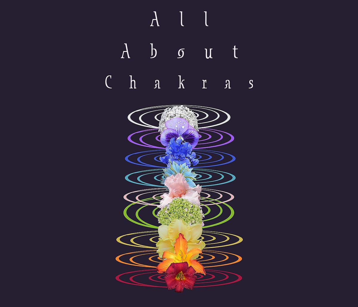 All About Chakras. Peppered with beautiful imagery and… | by Tha Riplz ...