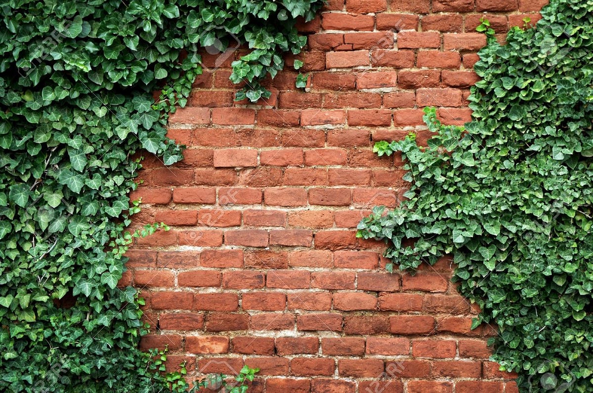 Rotten Ivy: The College Admissions Scandal Through the Eyes of an SAT ...