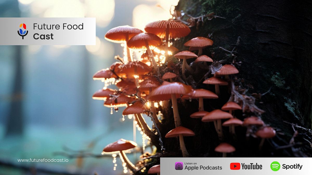 How Mushroom Fermentation Is Revolutionizing the Food Industry | by ...