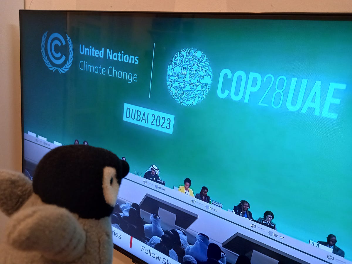 COP28: A Perspective from a Climate Figuran | by YEP | Global Future ...
