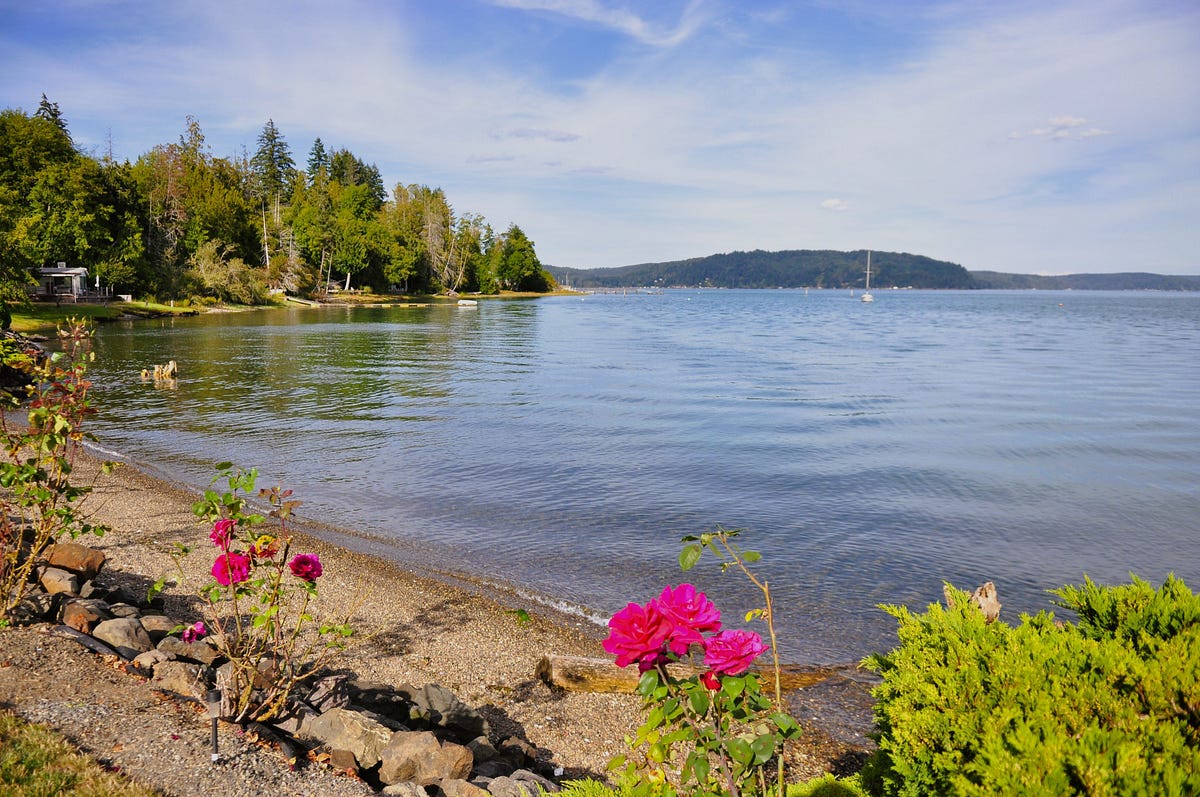 3 Tips for Creating a Calming Environment for Mindful Stillness | by ...