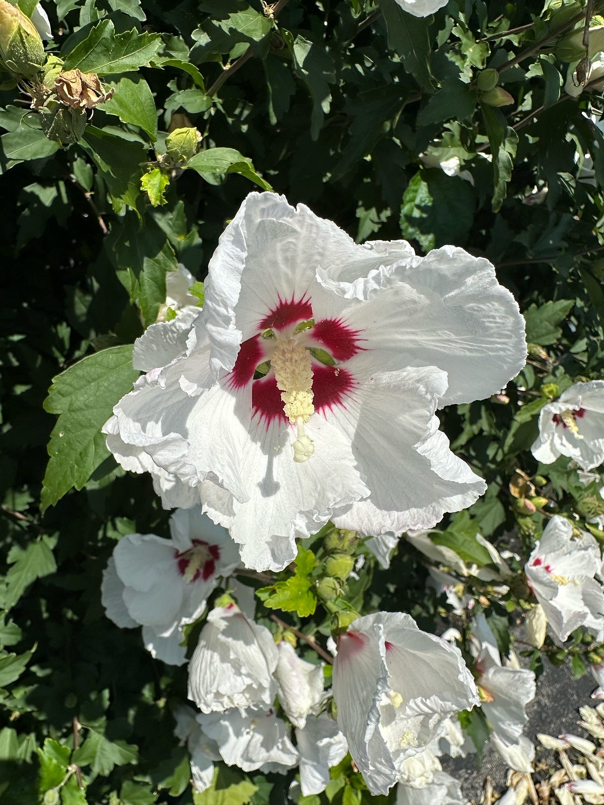 Goodbye to my Bedside Nursing Career | by Raechel “Rael Thymes ...