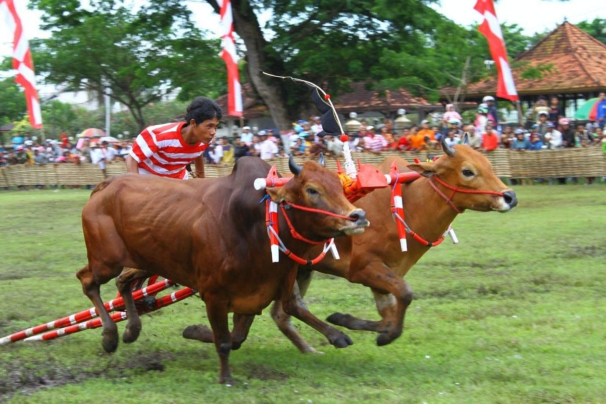 Unveiling the Charm of Traditional Sports with ArenaNews | by Arenanews ...