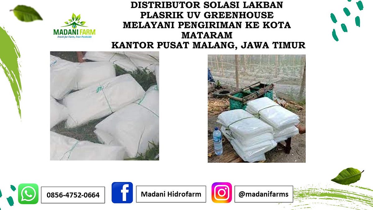 Produsen!!!HP/WA 0856–4752–0664 Insecnet Kota Mataram | by surya adi ...
