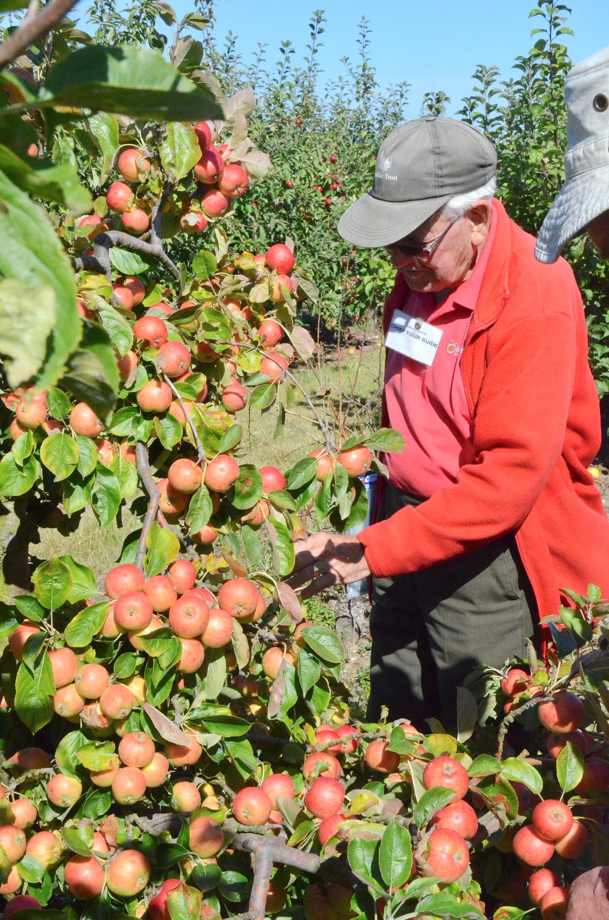 35. September 2019 visits to the world famous Brogdale National Fruit ...