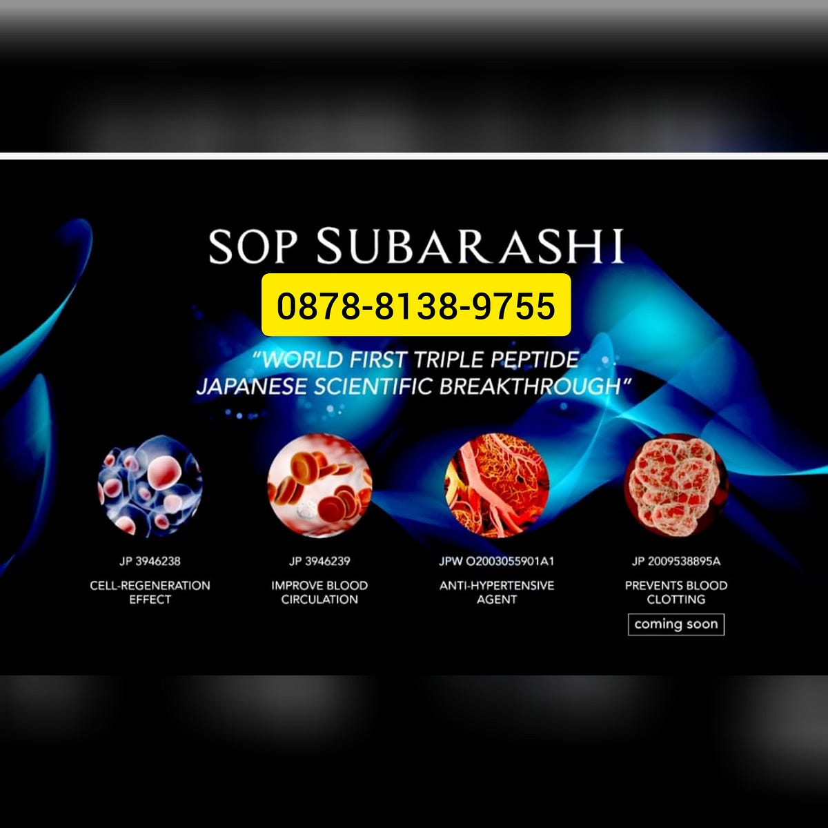 TER-ORI, WA:0878–8138–9755, Jual Sop subarashi Obat Apa | by ...
