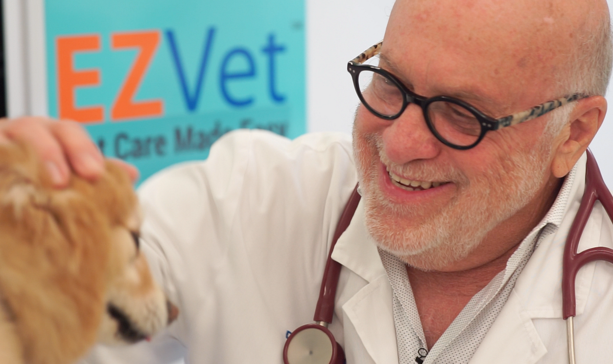 Pawtocol is Improving Veterinary Care by Bringing Tech and Convenience ...