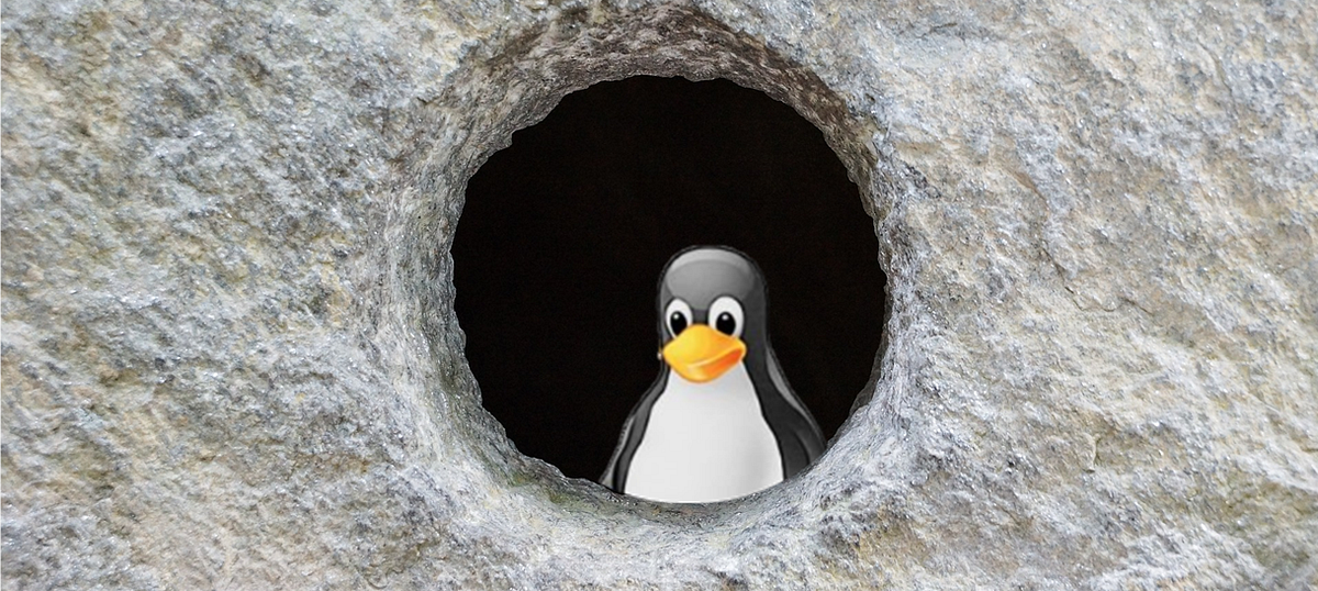 .NET 6 Has a Linux-Shaped Hole - MAUI comes up short for desktop Linux ...