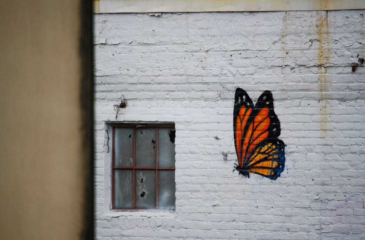 How a Butterfly Cured My Imposter Syndrome | by Jessica Bovee | Medium