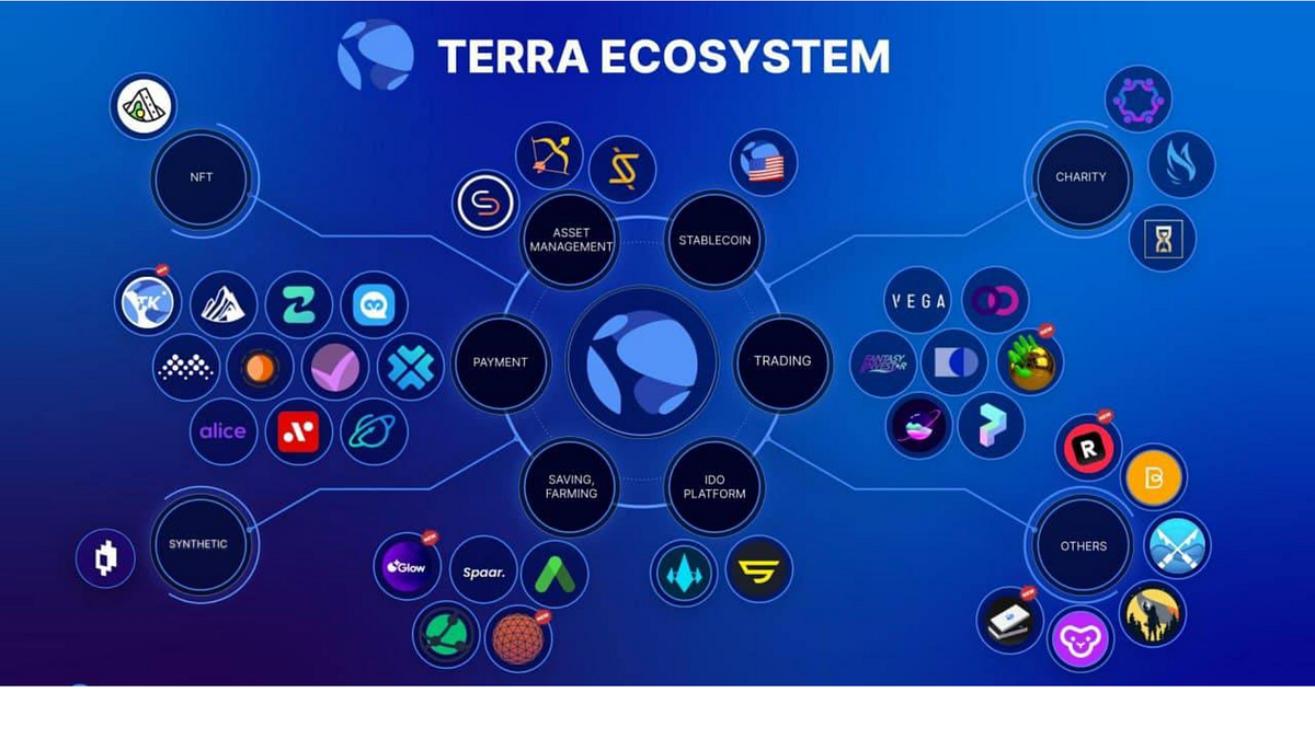 WHAT IS TERRA?. Programmable Money For The Internet | by RAGHUVARAN ...