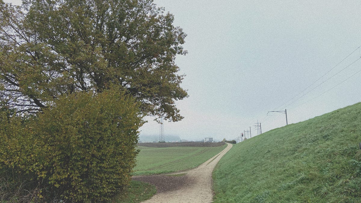 Angel Eyes Bring Demise. A free verse poem on autumn | by zeitgeist ...