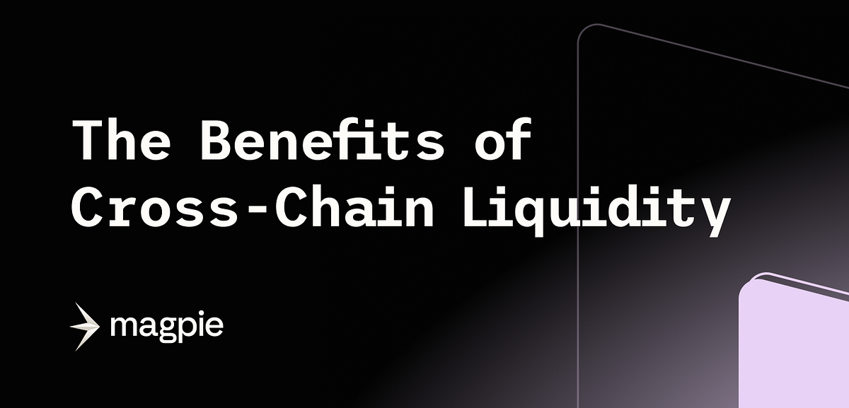 The Benefits of Cross-Chain Liquidity | by fly (prev. Magpie Protocol) | Medium