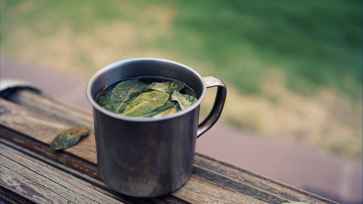 9 Bush Teas You’ll Find in a Real Jamaican Home and Their Healing ...