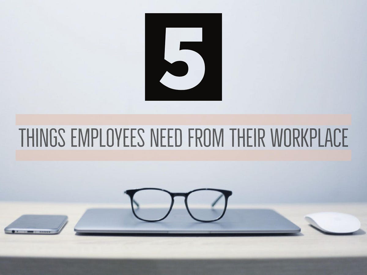 Five Things Employees Need from Their Workplace | by Bigfin.com | Medium