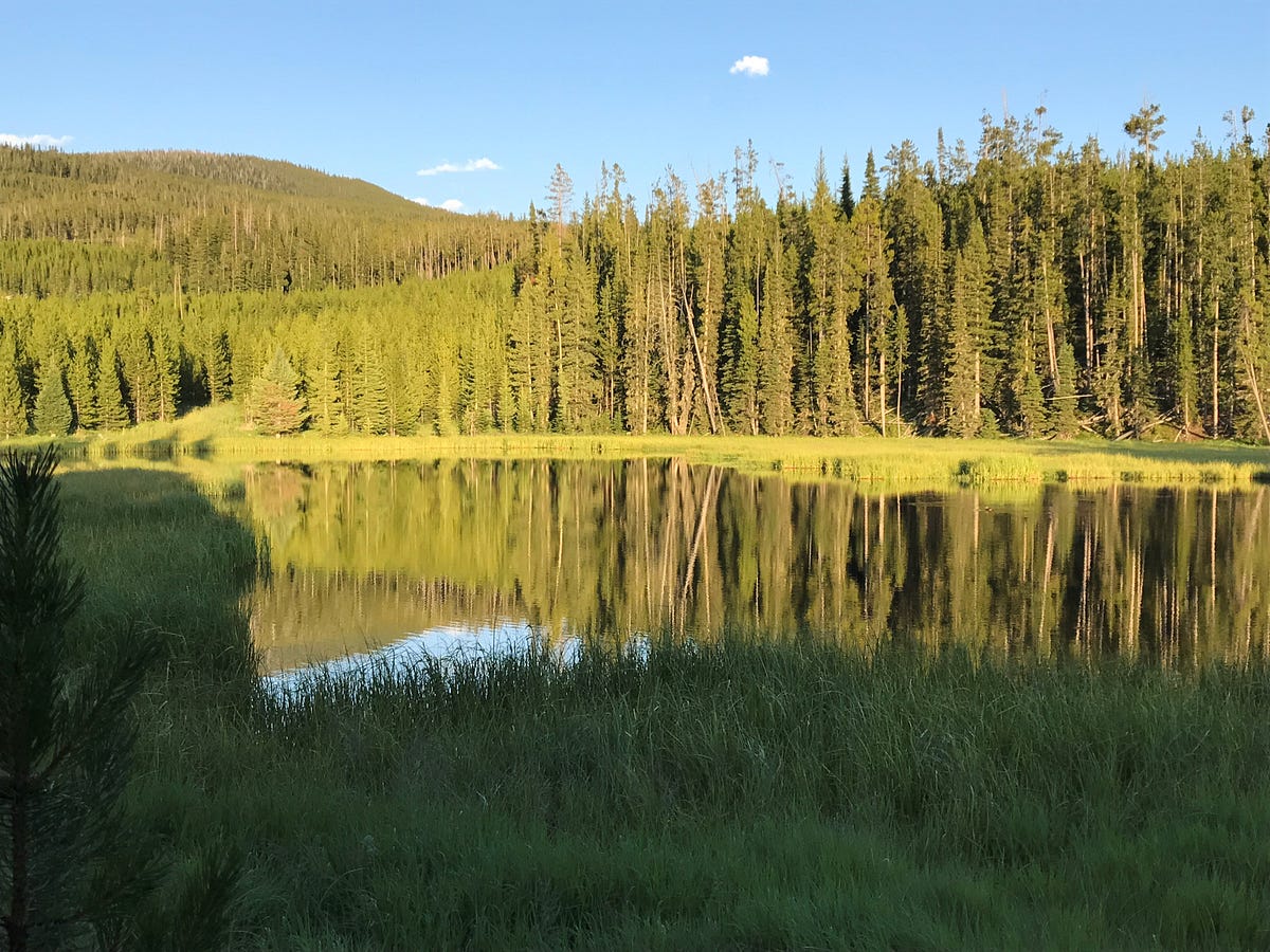 Pytorch — A Powerful Emerging Data Science Framework By W Andy Holst Medium