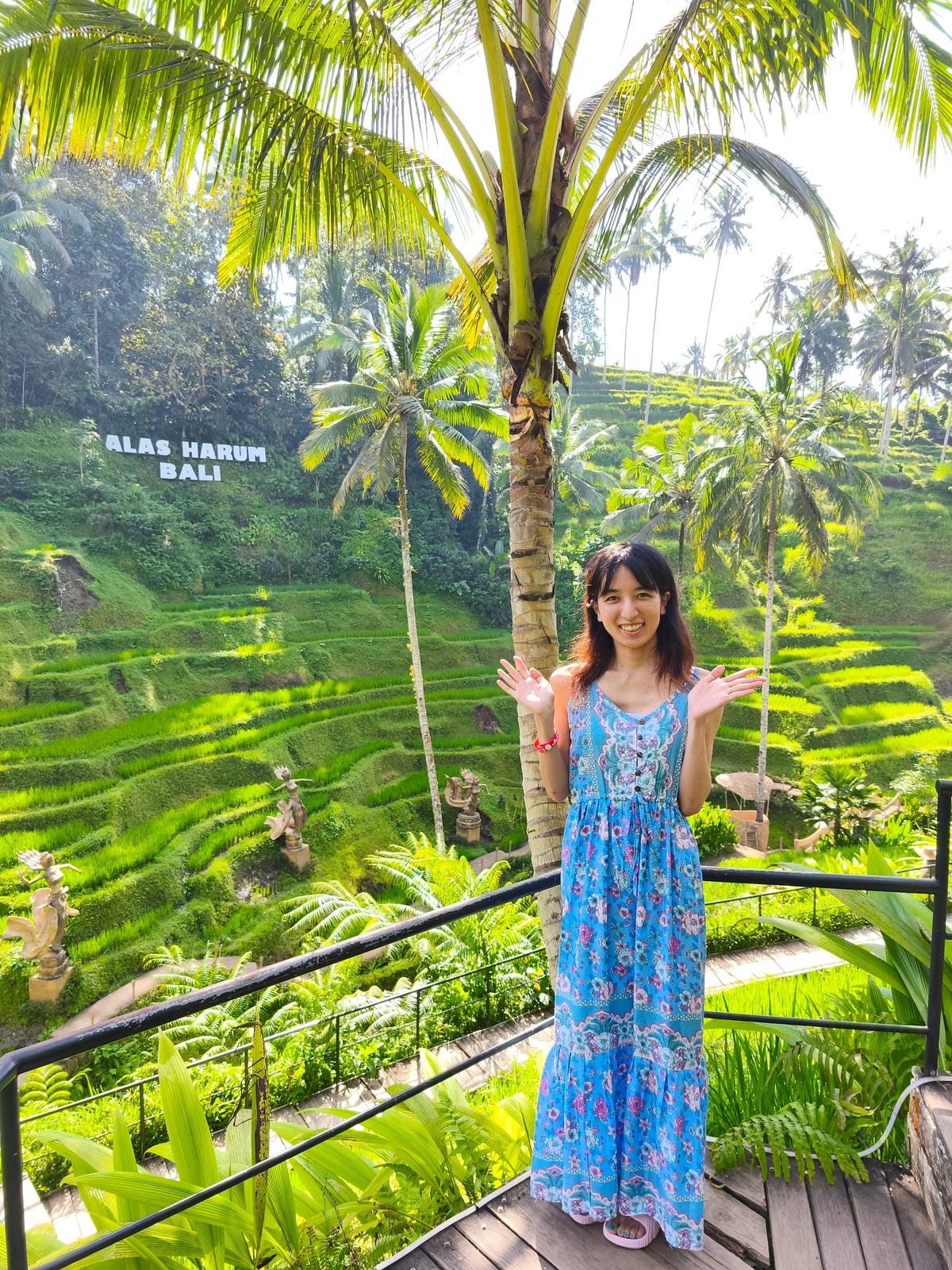 My Journey to Bali — A Soulful Adventure in Paradise | by Shiorik | Oct ...
