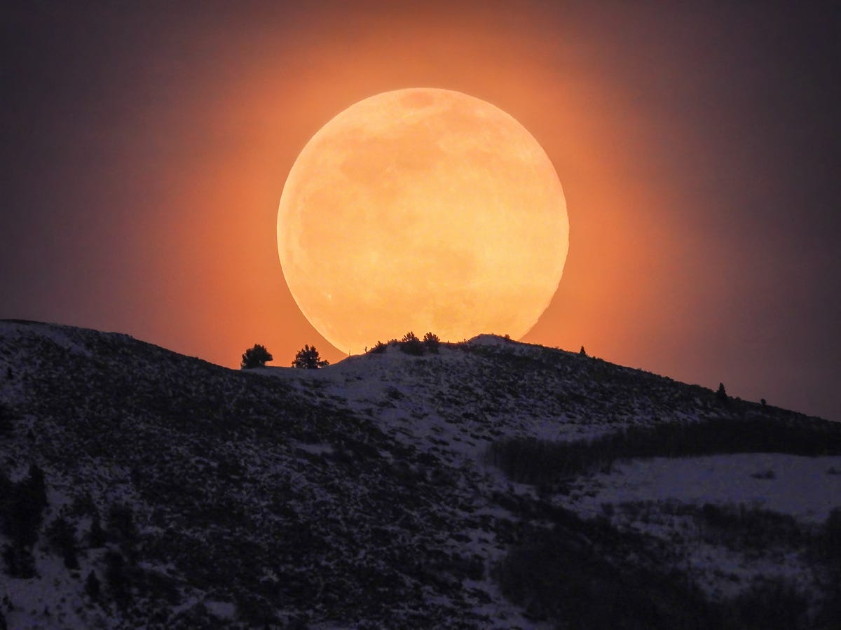 Bad Moon Rising?. An ominous feeling on election eve | by Jeff Marzick ...