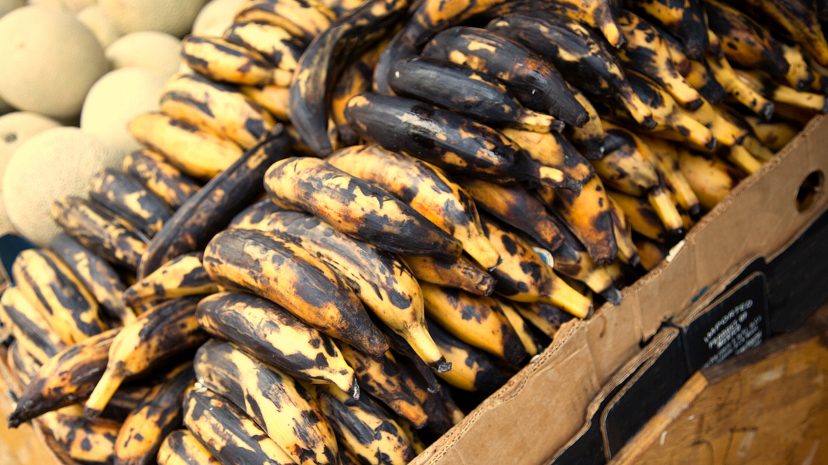 Lessons Learned Over “Rotten Bananas” | by Kat De Moor | Iberospherical ...