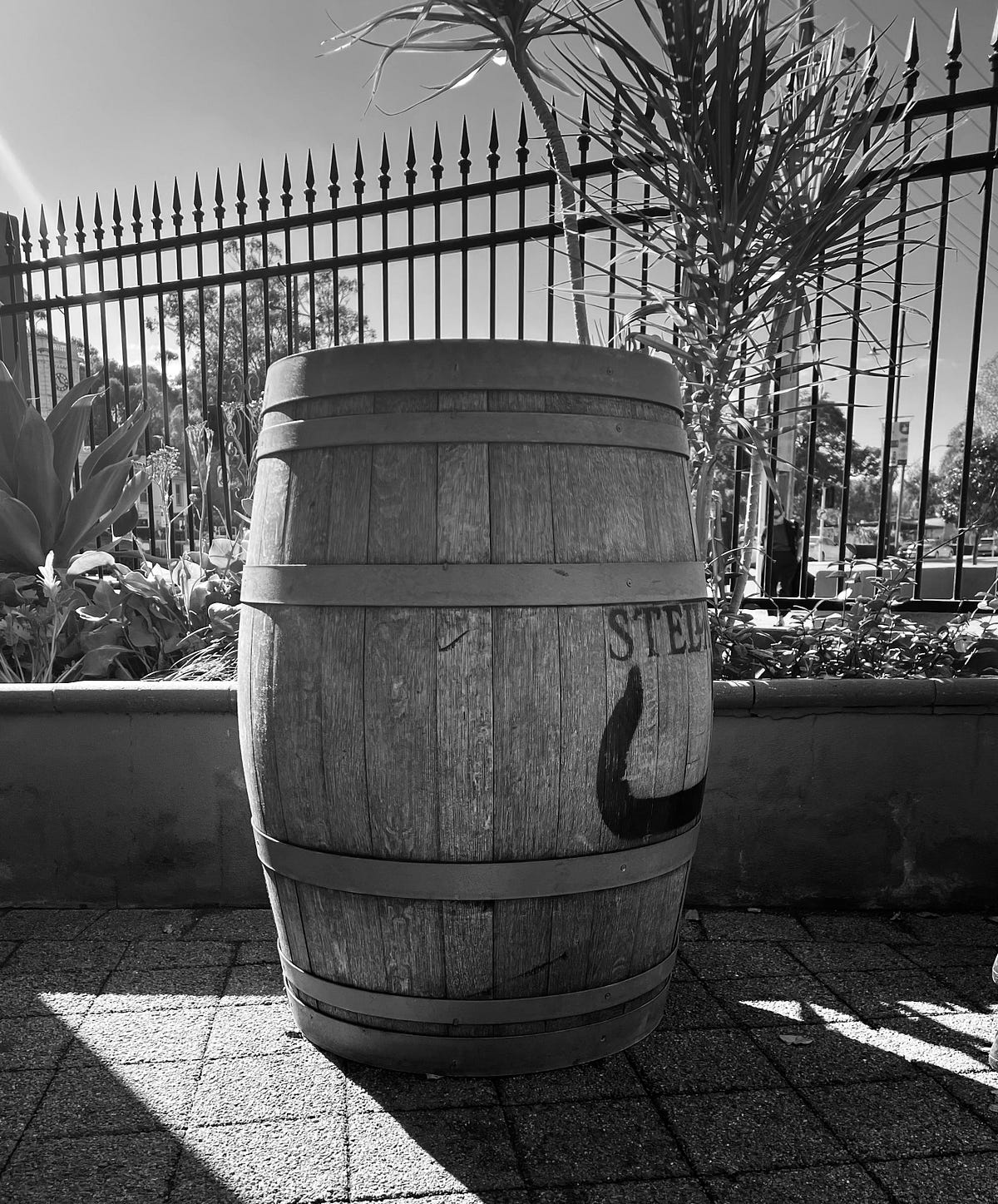 One Barrel, No Monkeys. June Six Word Photo Story Challenge… | by Sandi ...