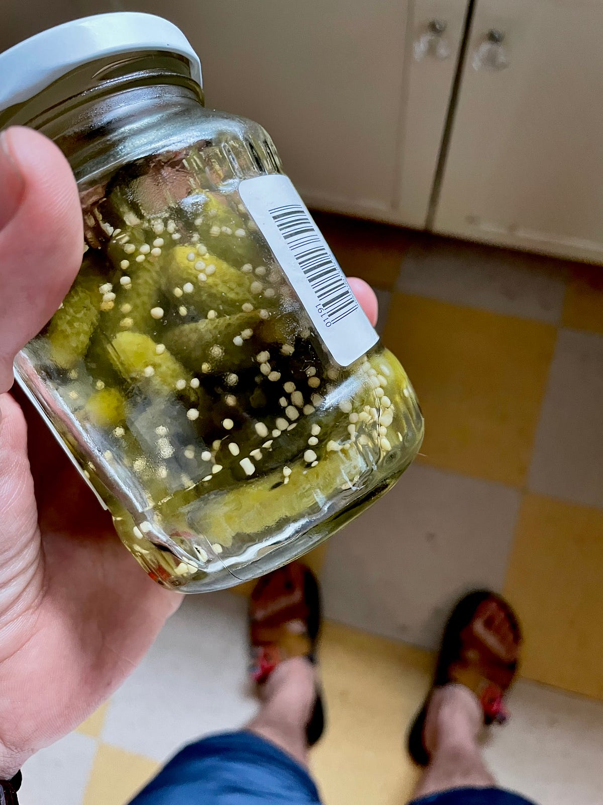 pickled. She’d stepped out for coffee and eggs… | by /solidus | Medium
