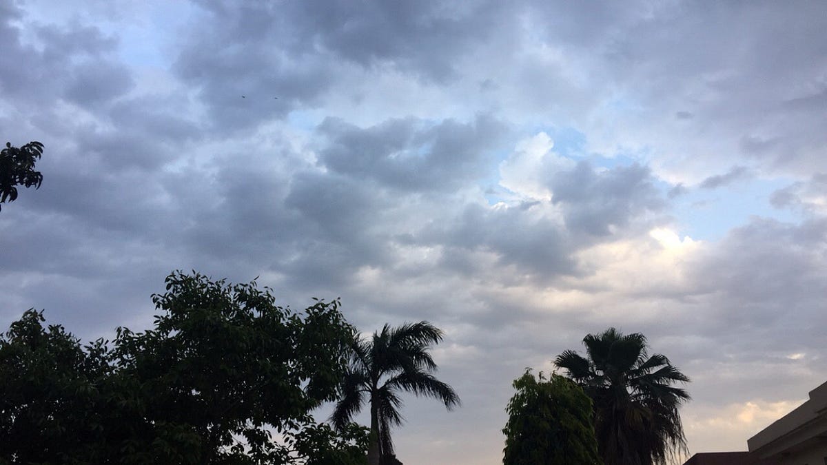 Spread Positivity. I love each and every Living thing… | by Marium A Sheikh | Medium