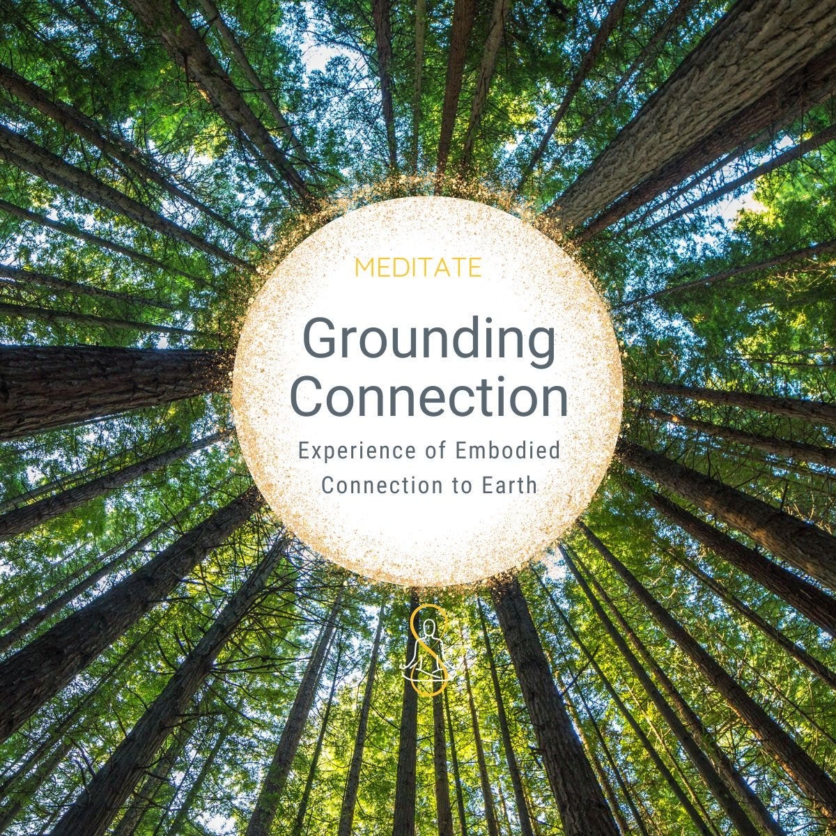 CONNECTING TO MOTHER EARTH GUIDE EXPERIENCE - Christine Hildebrand - Medium
