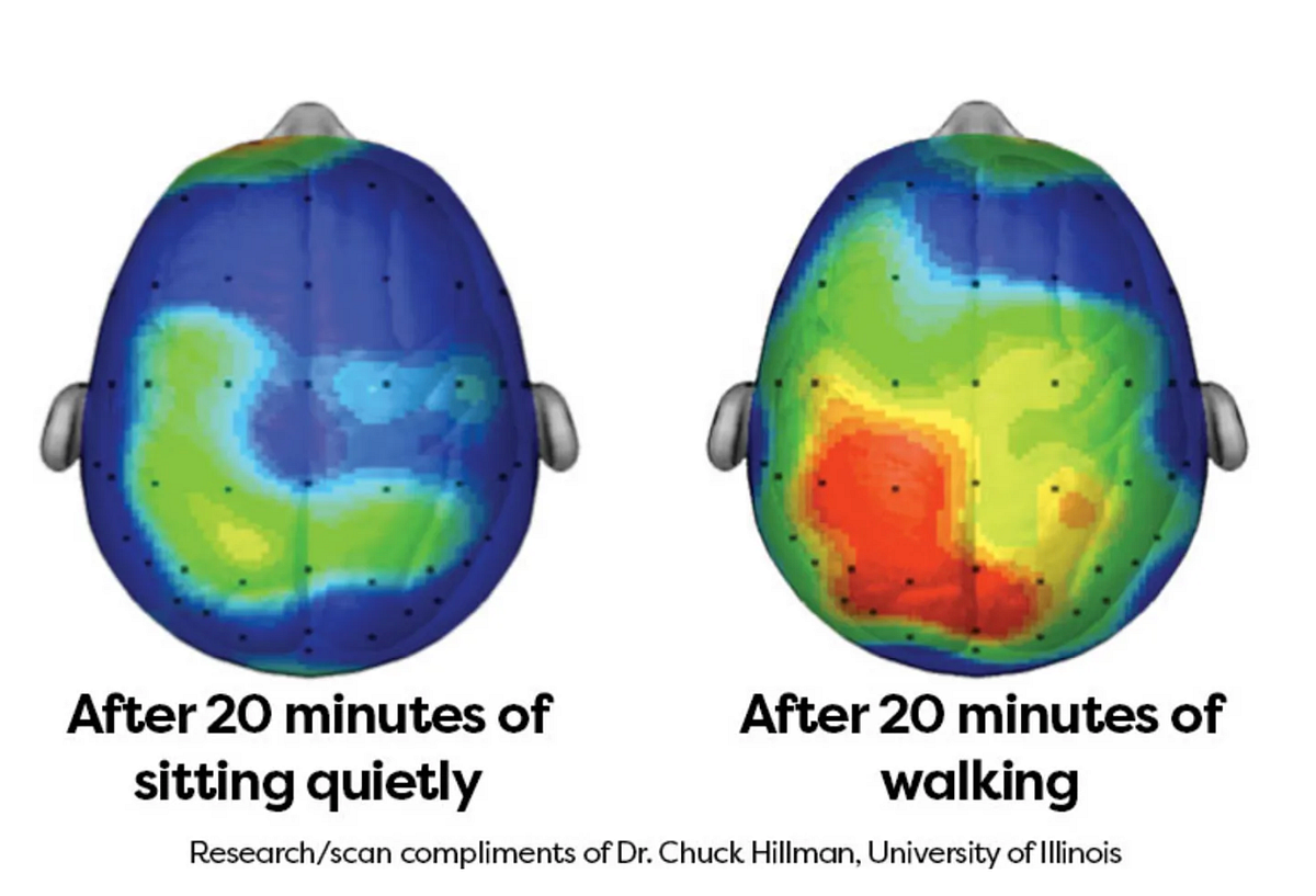 What Happens When You Start Walking 10k Everyday | by Yaqoob Ahmad ...