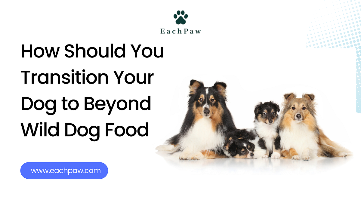 How Should You Transition Your Dog to Beyond Wild Dog Food? | by Each ...
