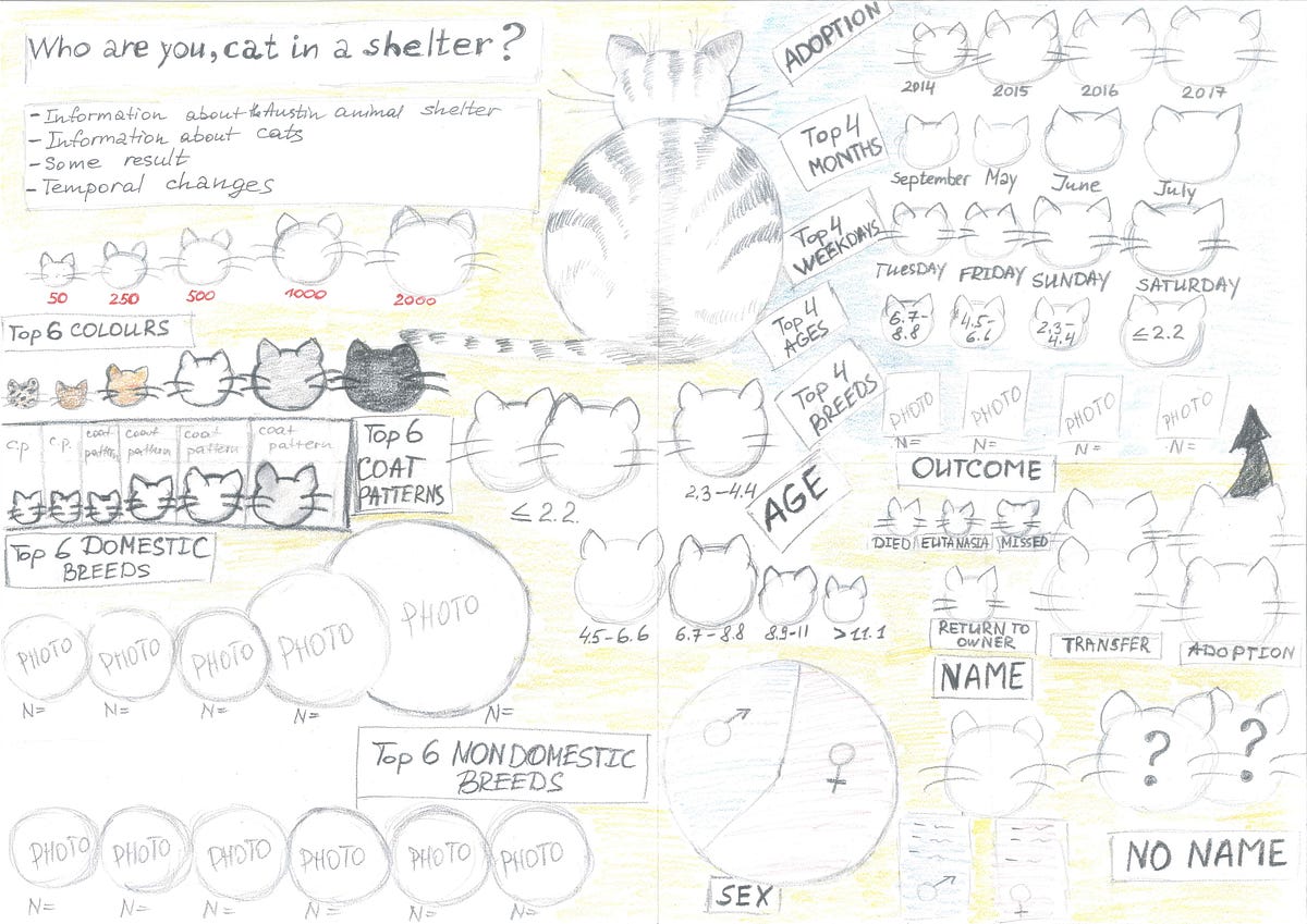 Static visualisation (hand-drawn sketch). Dataset “Cats”. | by Svitlana ...