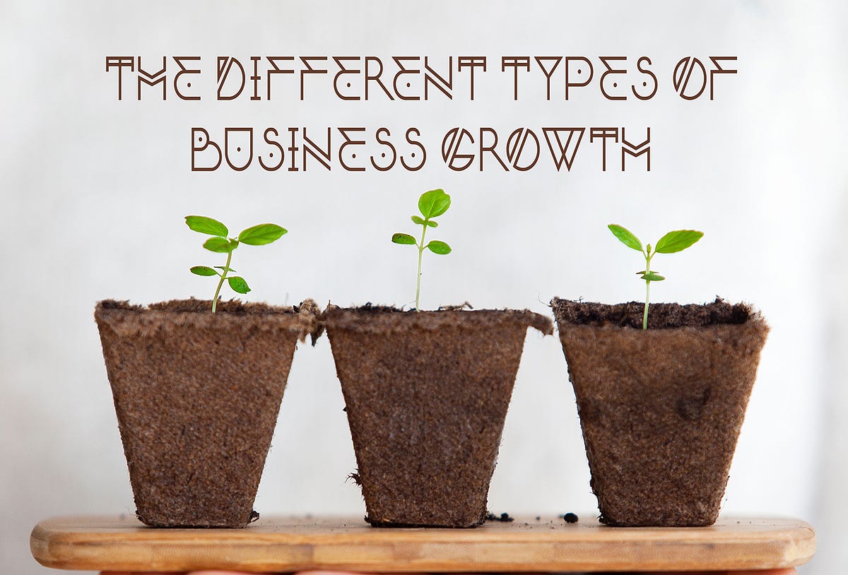 The different types of business growth | by The House | How to handle ...
